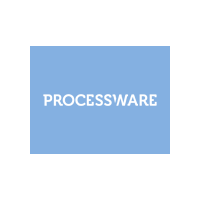 Como é trabalhar na Processware ? | Teamlyzer