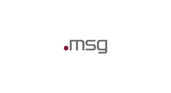 Reviews de emprego da msg | Teamlyzer