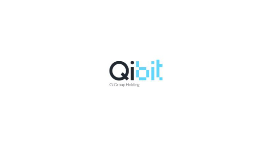 Reviews de entrevista da QiBit | Teamlyzer