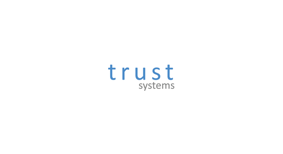 Como é trabalhar na Trust Systems ? | Teamlyzer