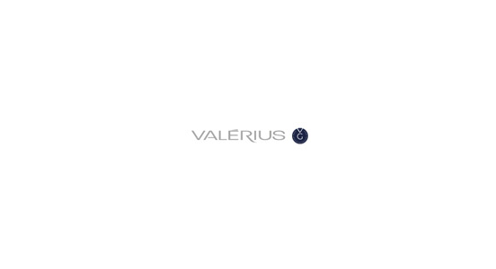 Salários na Valérius Group | Teamlyzer